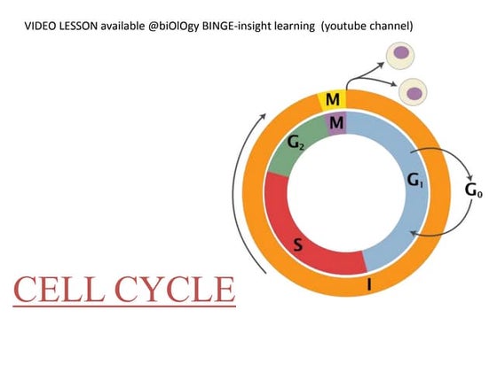 GRADE 8- SCIENCE 4TH QUARTER cell cycle.pptx