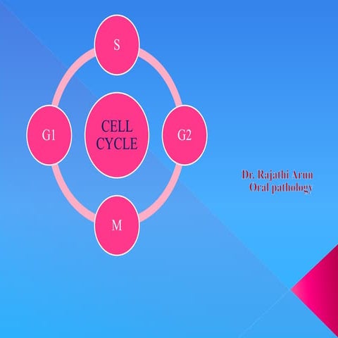 CELL CYCLE .ppt