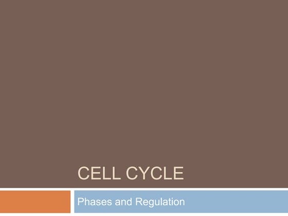 The Cell cycle - maha hammady | PPTX | Biological Sciences | Science