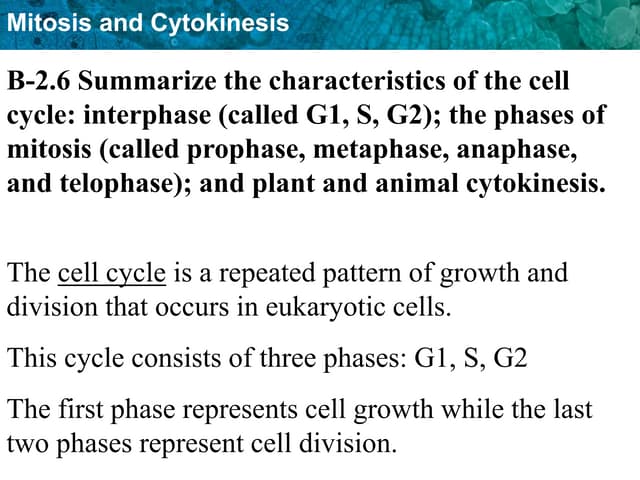 MITOSIS: LIFE SCIENCES FOR GRADE 10`S | PPTX