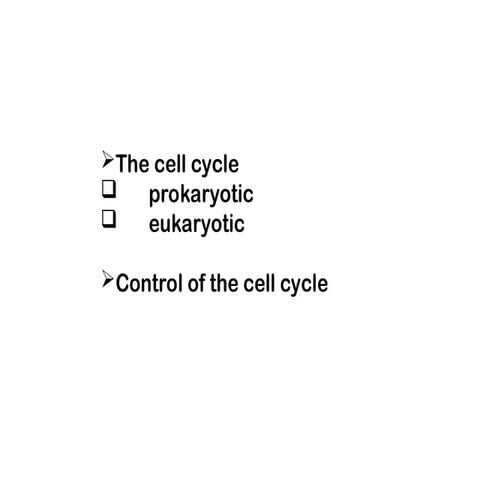 cell cycle checkpoints and detailed analysis of G1, S, G2 and M stages ...