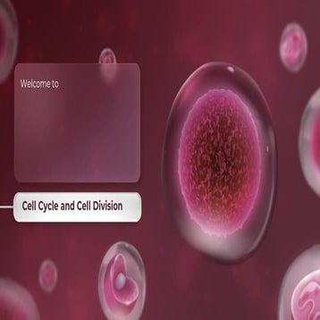 Lesson 5 Cell Cycle (Mitosis and Meiosis) | PDF