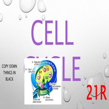 Cell cycle 7th | PPTX | Biological Sciences | Science