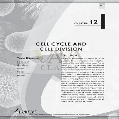 Cell Cycle and Cell Division Class 11 Important Notes for NEET Biology ...