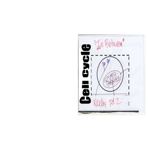 Cell Cycle And Microscope Notes | PPT