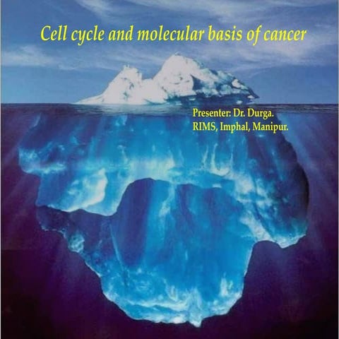 Cell cycle and molecular basis of cancer. | PPTX