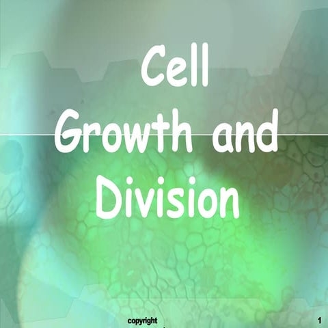 Cell cycle by Dr.Nuwagaba Ambrose.pptx one | PPTX