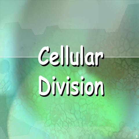 Cell cycle by Dr.Nuwagaba Ambrose.pptx one | PPTX