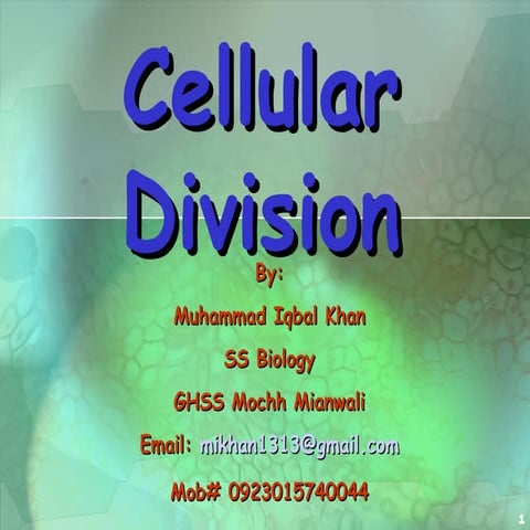 Cell cycle, Mitosis, Meiosis | PPT