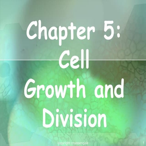 High School Biology Cell Cycle & Cell Division | PPTX