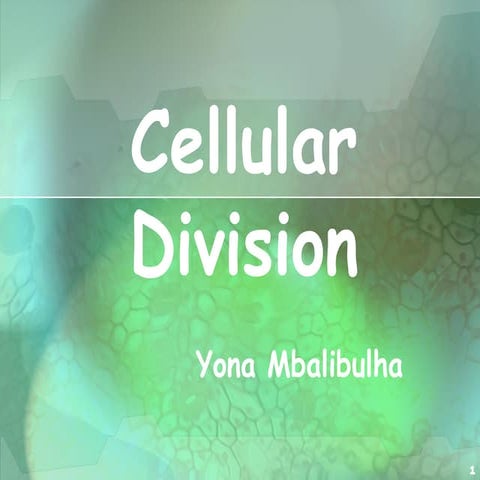 Cell Cycle and Cell Division lecture.pptx