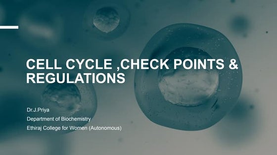The Cell Cycle | PPT