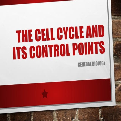 Cell_Cycle_Control_Points_Presentation [Autosaved].pptx