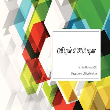 Cell cycle & DNA repair | PPTX | Biological Sciences | Science