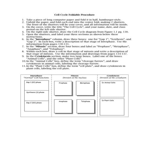 Cell Cycle Foldable Procedure Updated.doc
