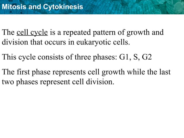 MITOSIS: LIFE SCIENCES FOR GRADE 10`S | PPTX