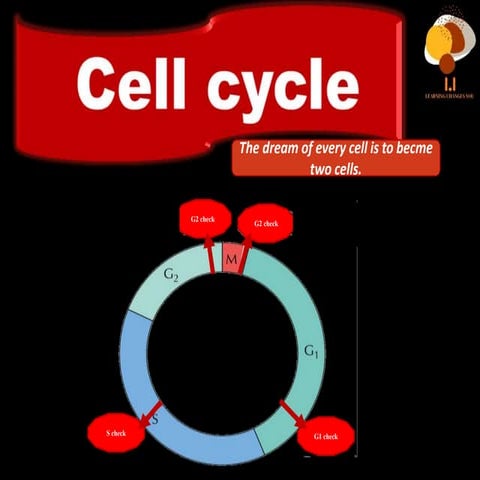 Cell cycle checkpoints | PPTX
