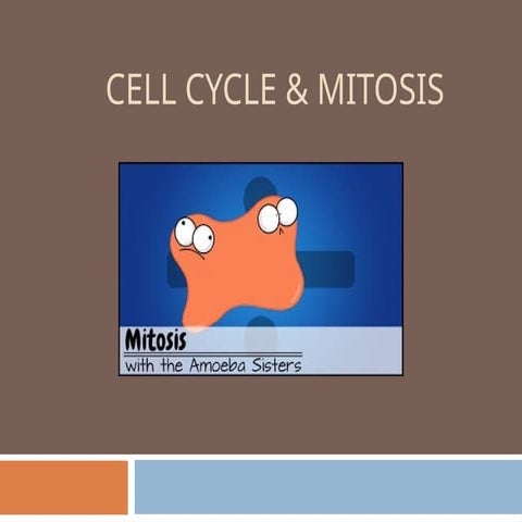 “Exploring the Cell Cycle and Mitosis: Understanding How Cells Grow ...