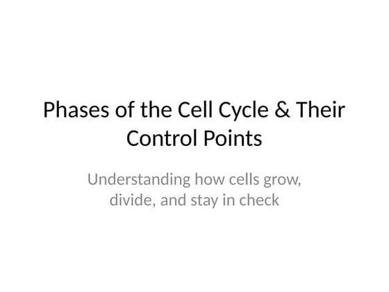 PBB GEN 11 inspired theme ppt template.pptx