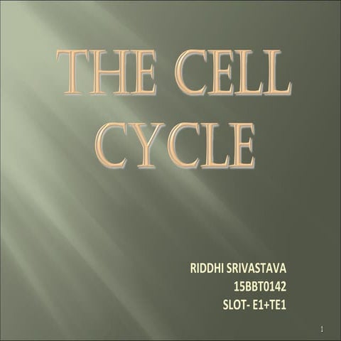 Cell cycle ppt | PPT