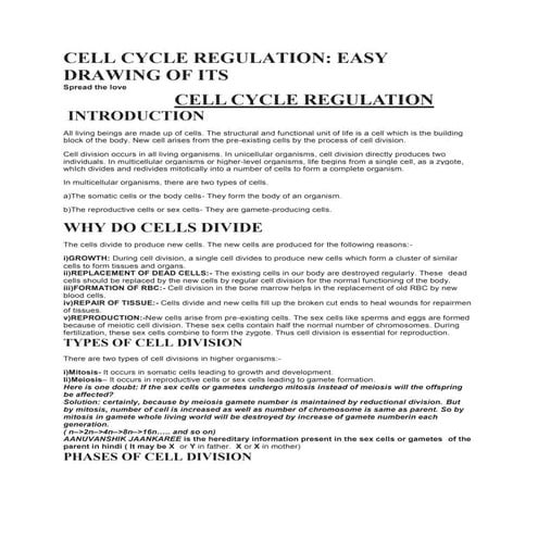 Cell Cycle Regulation Docx