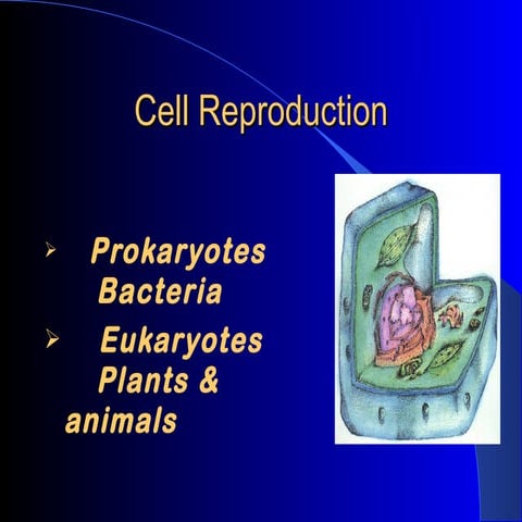 Cell cycle reproduction lecture with turning point | PPT