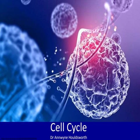 Cell cycle slides | PPT