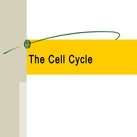 Cell cycle slides for Moodle | PPT