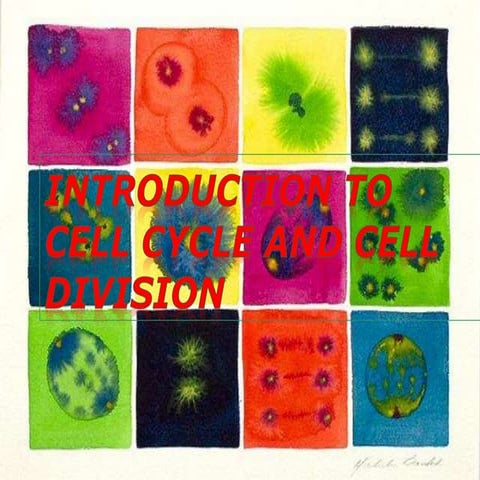 Cell cylce and cell division, an introduction | PPTX | Biological ...
