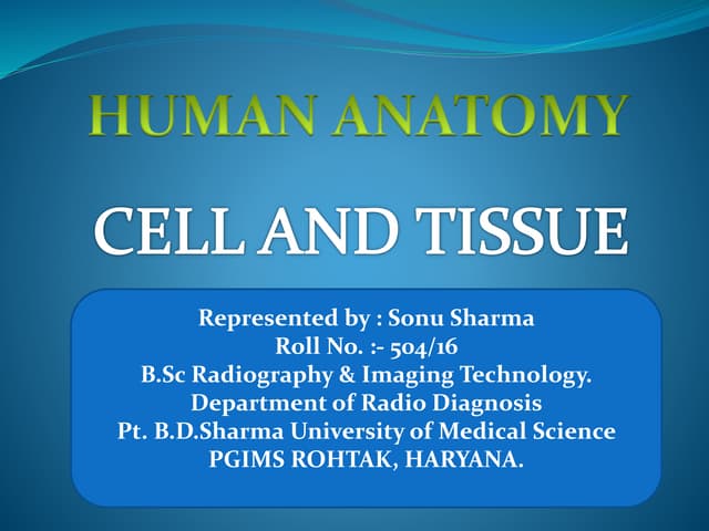 Structure of a human cell | PPTX
