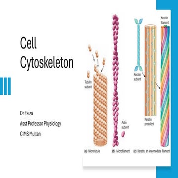 Cell cytoskeleton and molecular motors.pdf