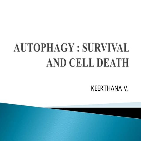 autophagy- survival and cell death. | PPTX