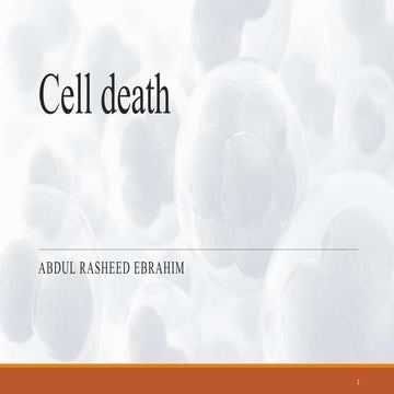 cell Death- Apoptosis, Necrosis, Autophagy .pptx