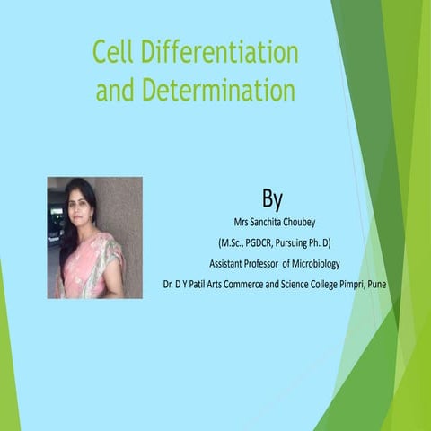 Cell determination and differentiation | PPTX