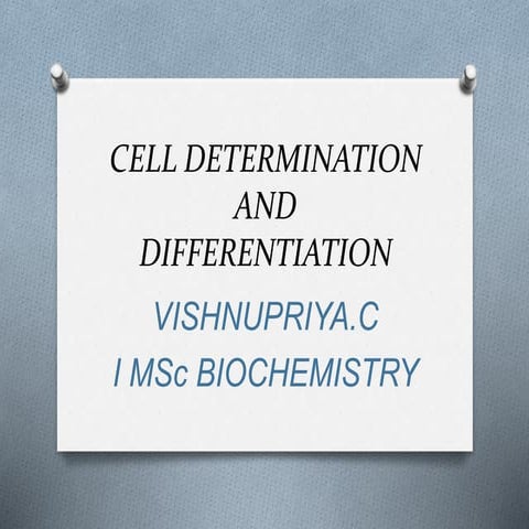 Cell determination and differentiation | PPTX