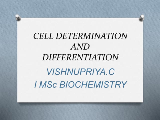 cell commitment and differentiation, stem cell,types of differentiation ...