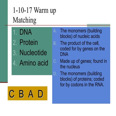 Cell differentiation and differential gene expression | PPT