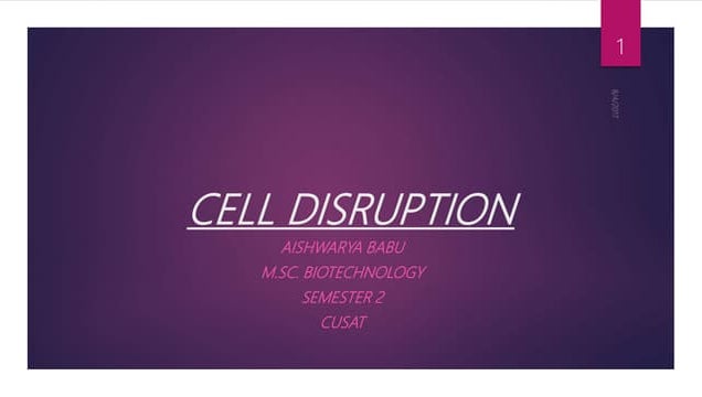 Cell Disruption Strategies in Downstream Processing