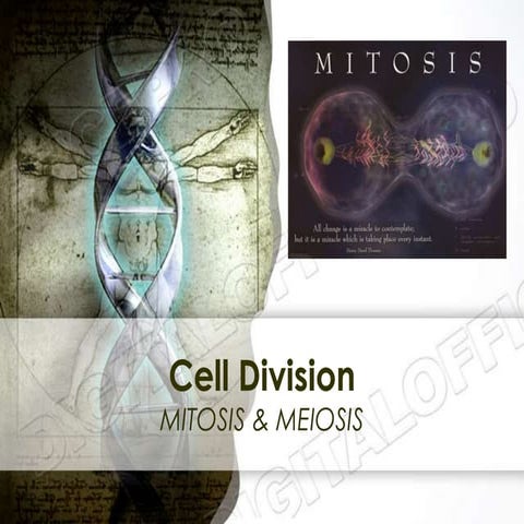 Cell division | PPTX