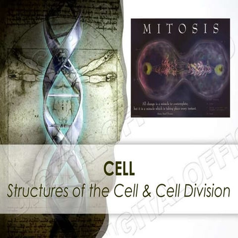 The Cell | PPT