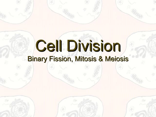 Mitosis and Meiosis for Grade 7 Science 7 | PPT | Biological Sciences ...