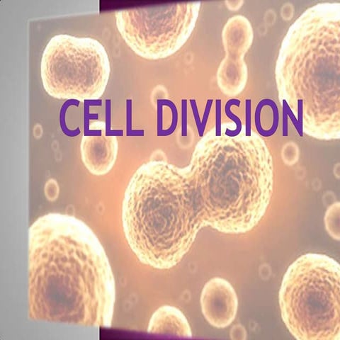 Cell division basics | PPT