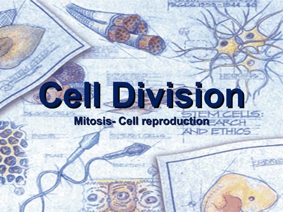 Cell Cycle and Cell Division | PPT
