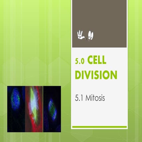 Cell division | PPTX
