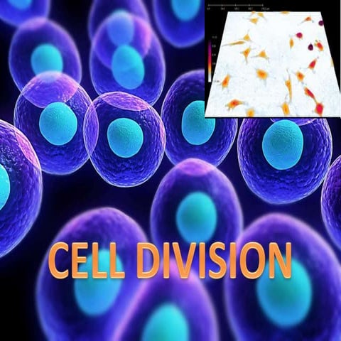 Cell division | PPTX