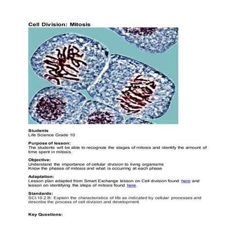 Cell division grade 10 | PPTX
