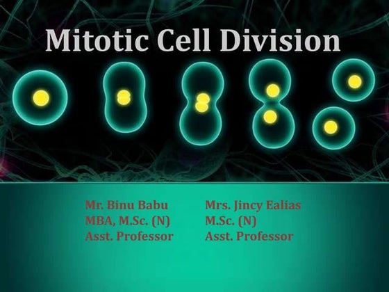 Mitosis | PPT