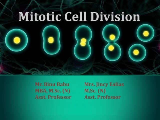 Presentation on cell cycle | PPTX