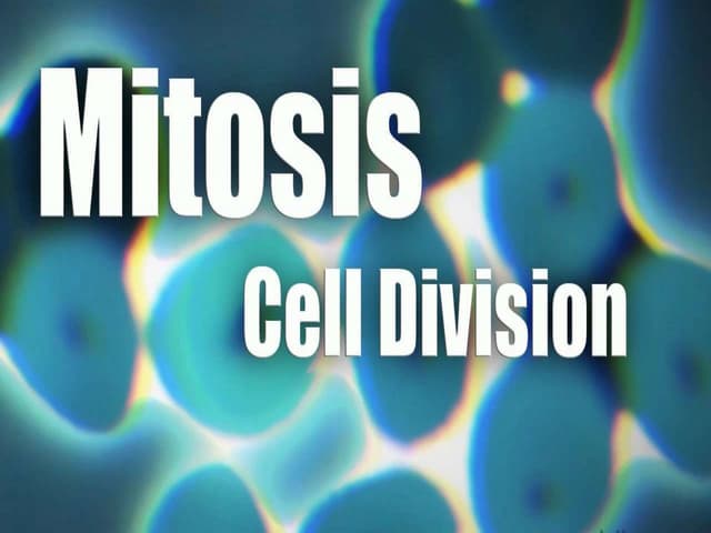 MITOSIS: LIFE SCIENCES FOR GRADE 10`S | PPTX
