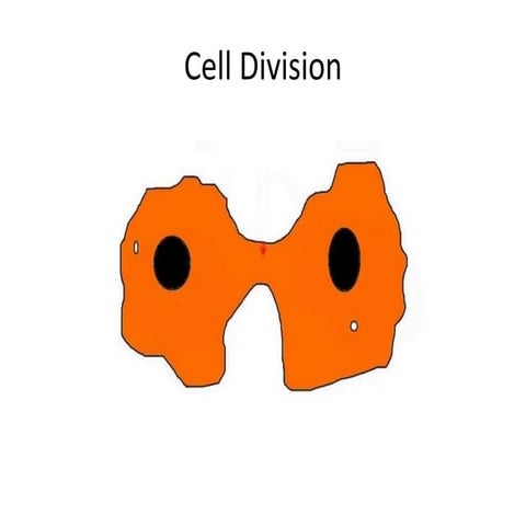 Cell division | PPT
